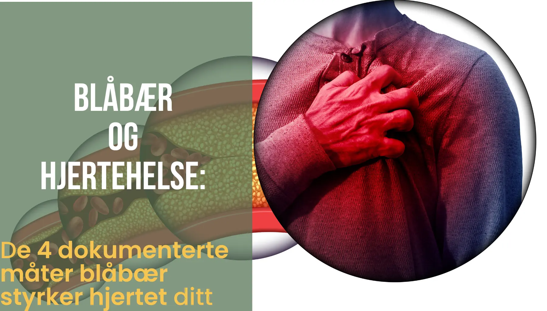 Blåbær og hjertehelse: 4 mirakel for hjertet ditt! - Bioform